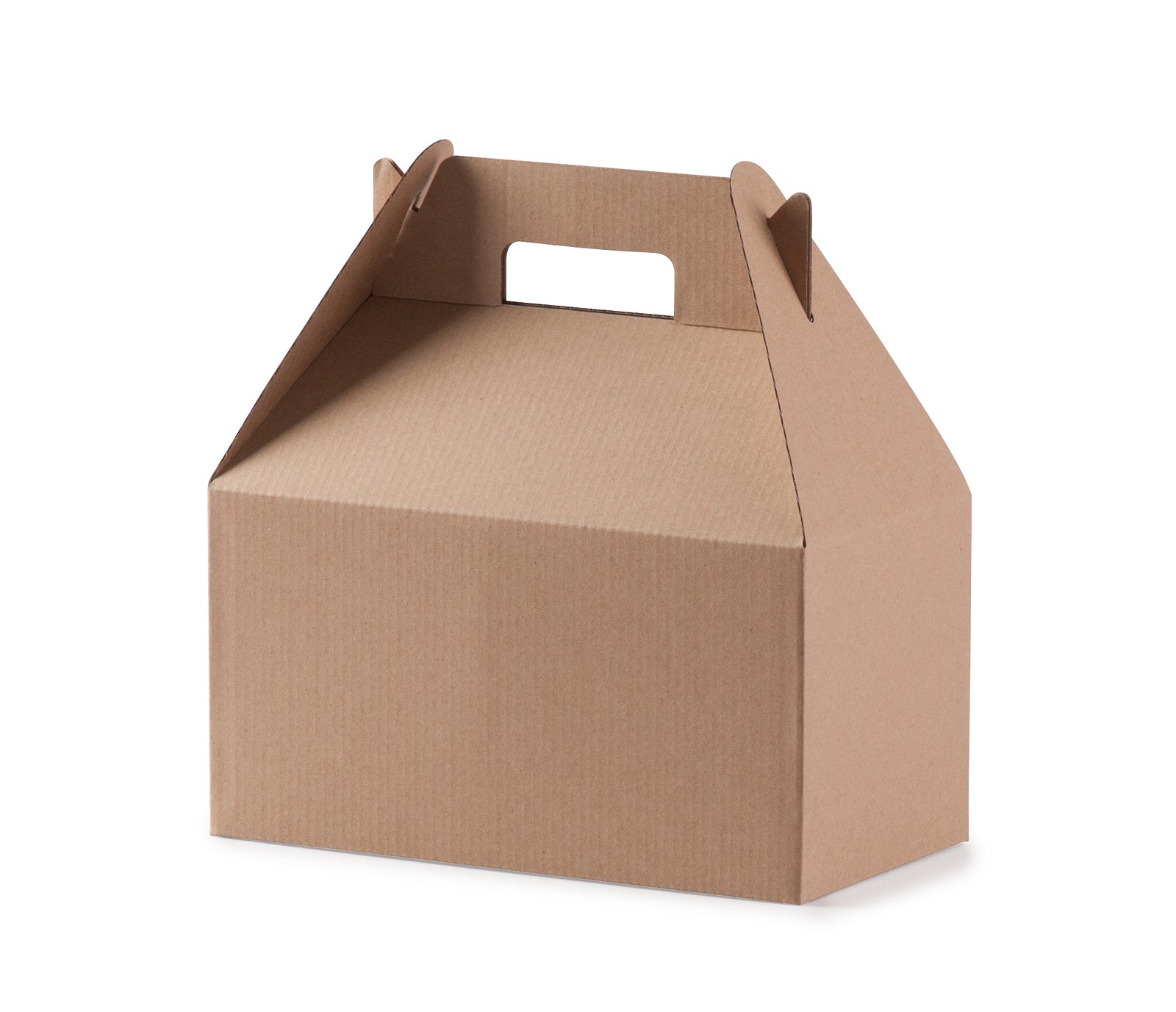 Buy Large Carry Packs in Kraft | boxfox